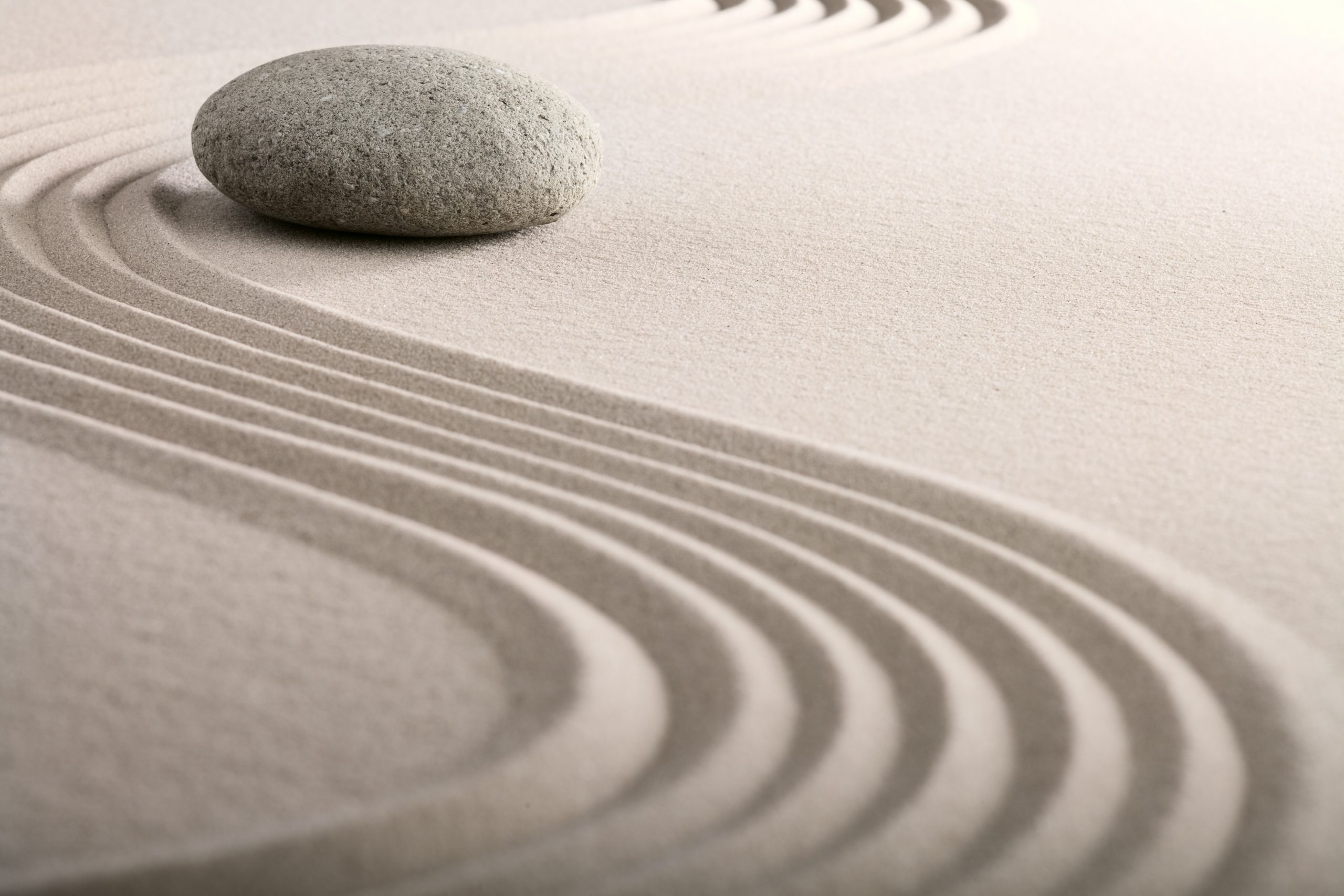 Zen Wisdom and Confident Speaking - Dr Doreen Downing